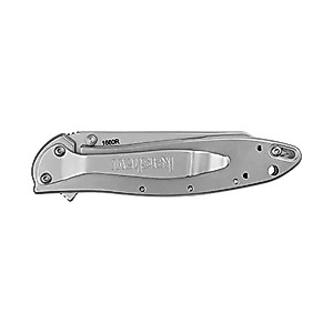 Kershaw Random Leek, 3 inch Sandvik 14C28N Stainless Steel Blade, SpeedSafe Opening, Reverse Tanto, 1660R,Silver