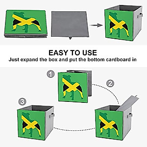Pitbull Jamaica Flag Collapsible Storage Bins Basics Folding Fabric Storage Cubes Organizer Boxes with Handles