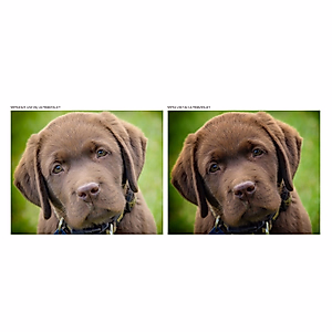 Alpha a6500 High Grade Multi-Coated, Multi-Threaded, 3 Piece Lens Filter Kit (55mm)