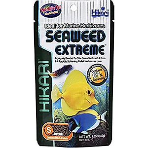HIKARI Seaweed Extreme Floating Seaweed Rich Pellets for Smaller Marine Herbivores 1.58oz (45g)