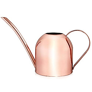 Smouldr Mini Plant Watering Can Indoor: Rose Gold Small Watering Can Helps You Water Tiny House Plants, Succulents, Bonsai or Herb Gardens - Steel Plant Waterer for Miniature Flower Pots - 15 Ounces