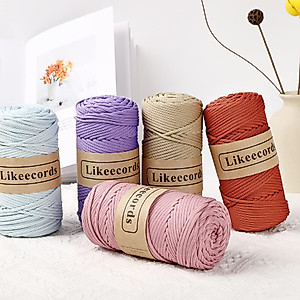 Likeecords 4mm Polyester Braided Macrame Cord 140Yards /426Feet,Elastic Yarn for Crocheting Bag Cord for DIY Crafts,Plant Hangers, Bag, and Home Decorations (Sage Green)