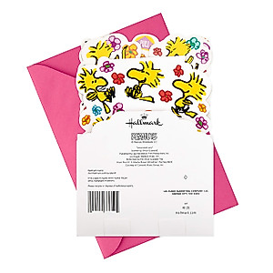 Hallmark Birthday Pop Up Card with Song from Son or Daughter (Peanuts Snoopy and Woodstock Pop Up, Plays Linus and Lucy by Vince Guaraldi)