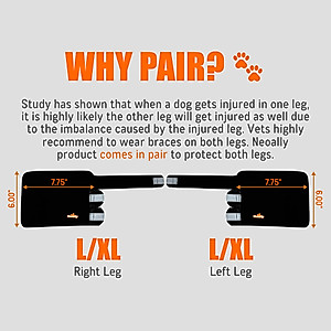 NeoAlly- Front Leg Brace for Dogs & Cats, Dog Leg Brace with Metal Spring Inserts, Dog Leg Sleeve for Carpal Support, Dog Leg Sleeve with Reflective Straps, L/XL, Pair