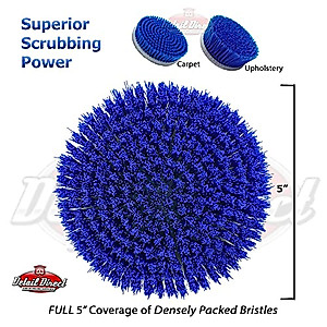 Detail Direct Carpet and Upholstery Brush Kit with 5" Backing Plate for Dual Action Polishers, Hook and Loop (3 Piece Set)