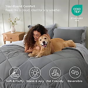 BEDSURE Queen Comforter Set - 7 Pieces Reversible Queen Bed Set Bed in a Bag with Comforters Queen Size, Sheets, Pillowcases & Shams, Grey Bedding Sets