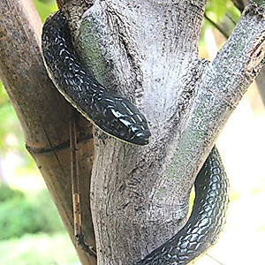 Snake Toy, Rubber Lifelike Snakes Scary Toys, Wild Life Toys Funny Snake Prank Toys, Realistic Amazing Decorations Effect for Party Entertainment Birthday Halloween Christmas