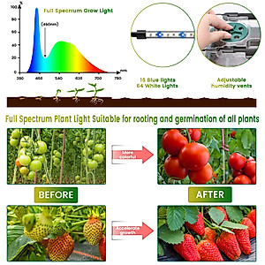 MQUPIN Seed Starter Tray with Grow Light 4 LED, 2 Pack/80 Cells Adjustable Brightness Seed Starter Kit,Seedling Starter Kit with Dome and Base for Greenhouse Seeds Growing Starting(Green)