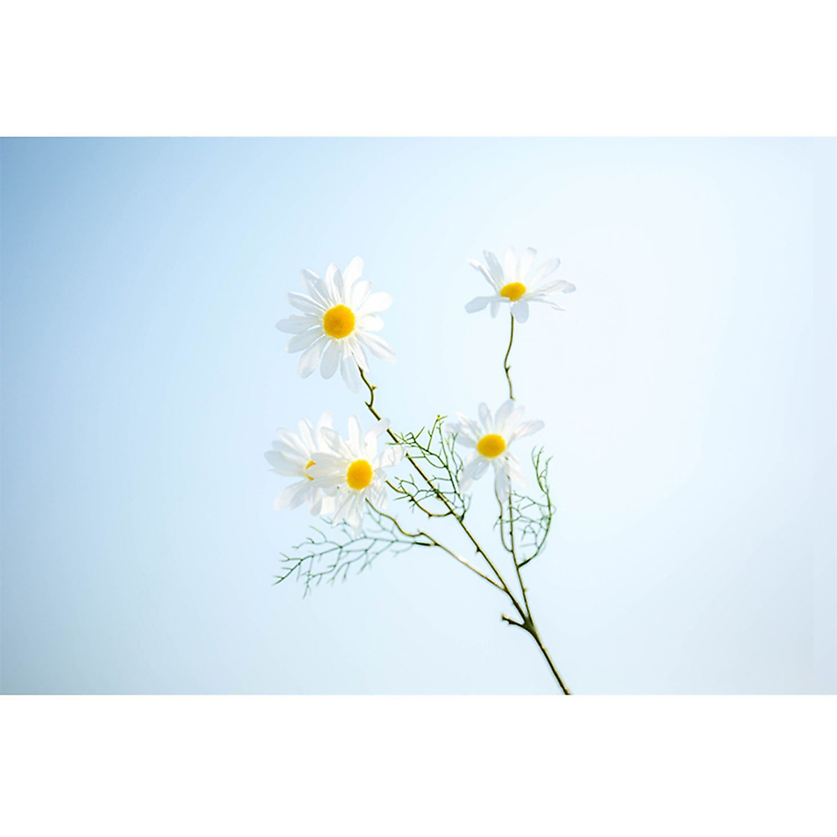 Artfen 10pcs Artificial Daisy Flowers Flower Arrangements for Home Hotel Office Wedding Party Garden Craft Art Decor Each Approx 21" High No Vase White