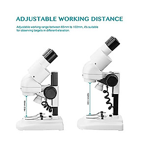 DLOETT 2 0X / 40x Stereo Microscope 45 ° Tiltted Eyepieces with Eyecup Top LED Vision PCB Saler Mobile Repair Tool