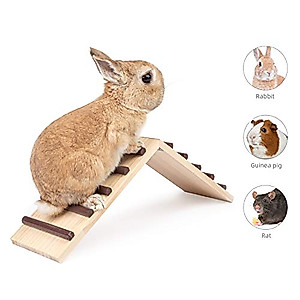 Niteangel Wooden Cage Bridge for Rabbits, Guinea Pigs and Chinchilla, Large Size