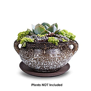 Dahlia Vintage Speckle Ceramic Succulent Planter/Plant Pot/Flower Pot/Bonsai Pot, C
