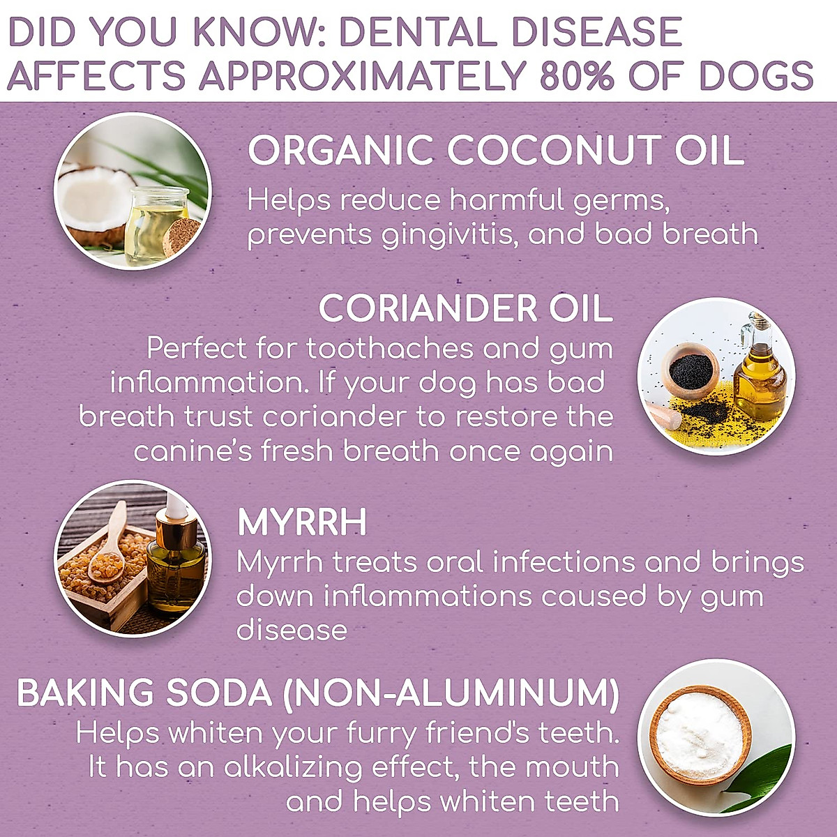 Bella PETZZO DENTI - Organic Dental Mouth Spray for Dogs-Helps Fight Plaque, Tartar, Bad Breath, Gums, Provides Kissable Fresh Breath, Made with Coconut Oil, Coriander, Myrrh - 8 Fl Oz (240ml