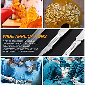 Rustark 42Pcs #10#11#12#15 Surgical Grade Blades Sterile Scalpel Blades with #3 Scalpel Knife Handle Assortment Kit for Biology, Lab Anatomy, Practicing Cutting, Art Crafts