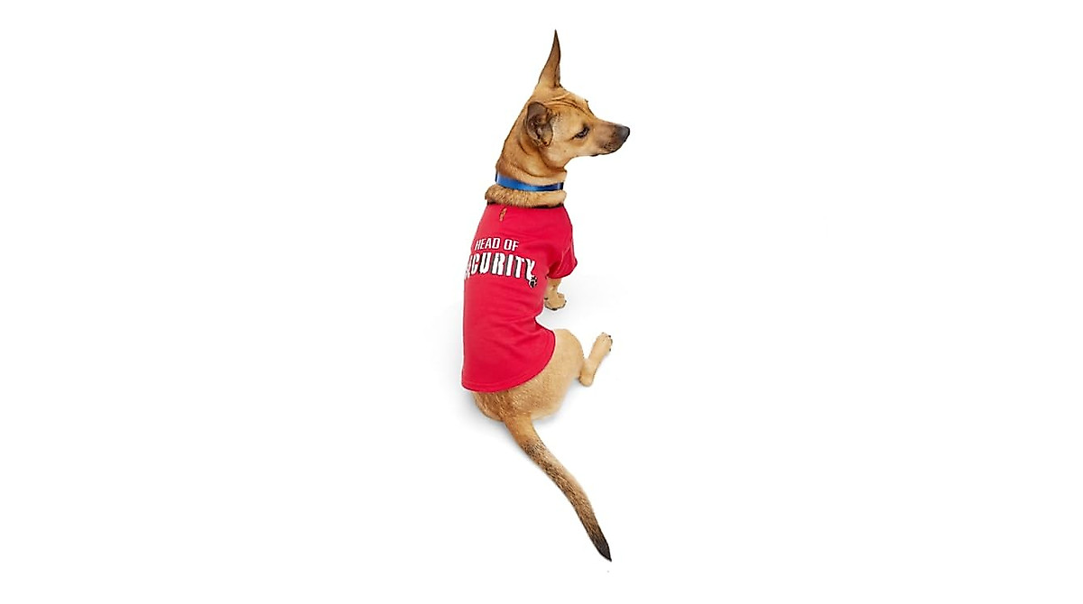 Stylish YOULY Head of Security Dog Tee for Large Dogs