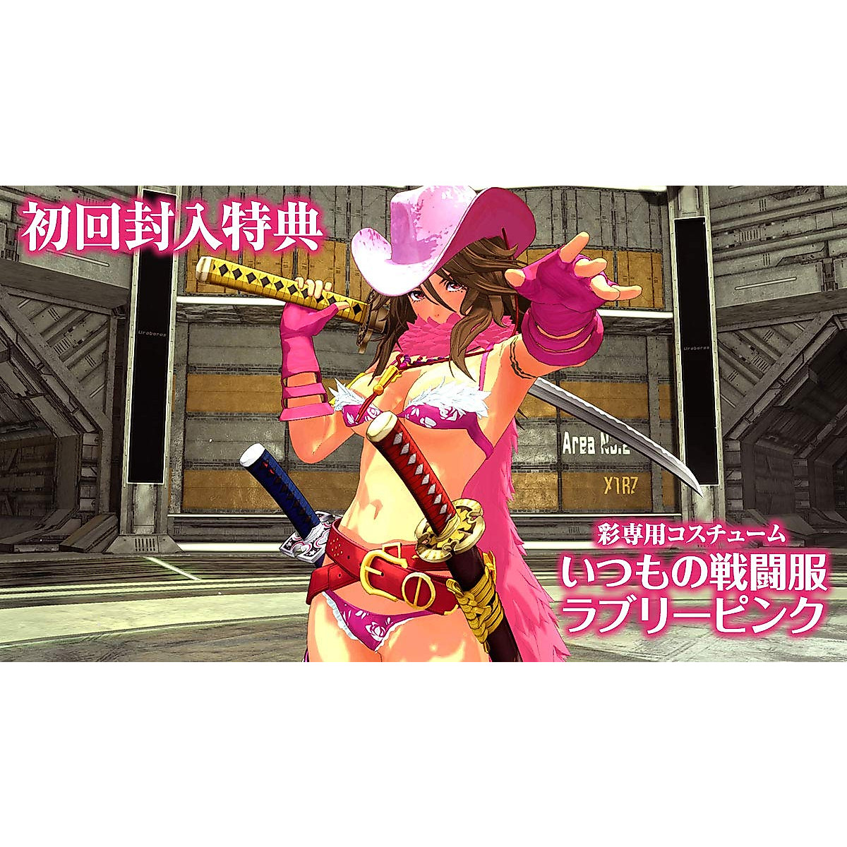 Onechanbara ORIGIN - PlayStation 4 - Japan imported *only Japanese language