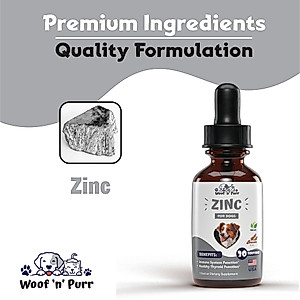 Zinc for Dogs - Dog Zinc Supplement - Helps to Support Healthy Skin, Coat, Immune Health & More - Dog Zinc - Dog Skin and Coat Supplement - Skin and Coat Supplement for Dogs - 1 fl oz - Bacon Flavor