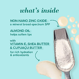 Burt's Bees SPF Lip Balms - 3 Pack Includes SPF 30 Tinted Lip Balms (2) & Soothing Aloe Lip Balm (1) with Aloe Vera, Coconut Oil & Shea Butter to Moisturize Dry Lips & After Sun Care