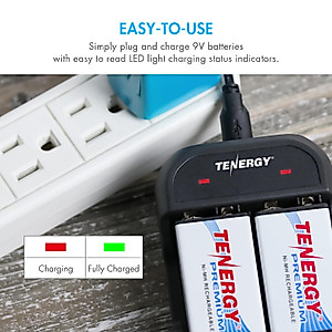 Tenergy TN141 Smart Charger for NiMH 9V Rechargeable Batteries, 9V Cells Battery Charger, 9 Volt NiMH