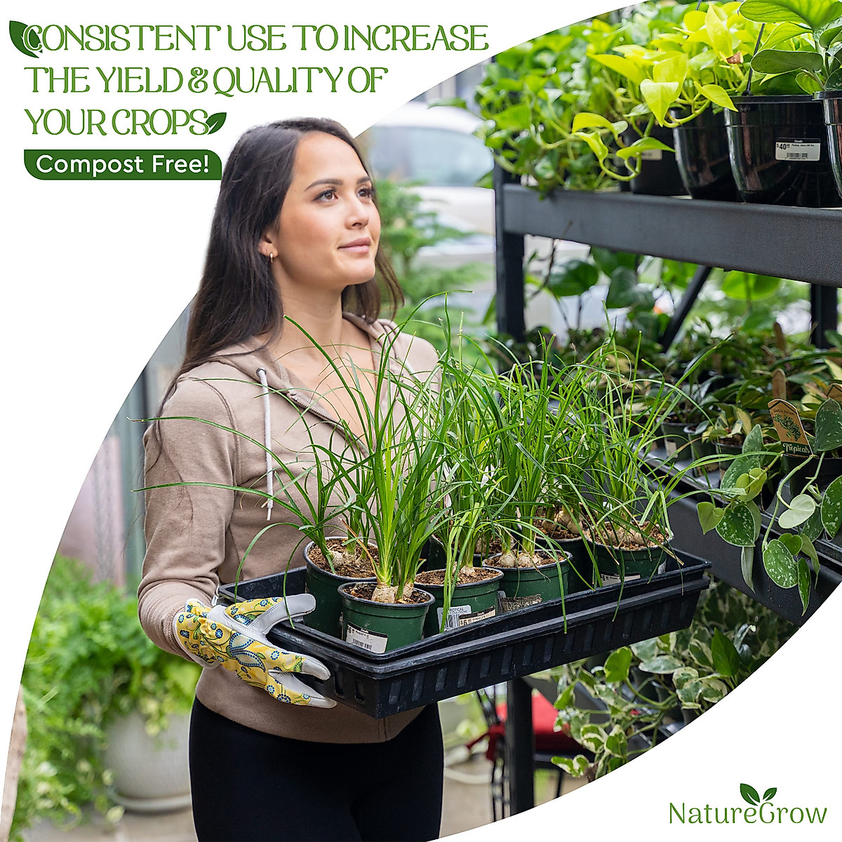 NatureGrow Earth Worm Castings-10lb - Worm Castings Organic, Plant Fertilizer, Earthworm Castings - Pure Worm Castings for Gardening, Organic Worm Casting