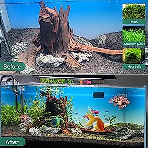 Hiwzitar Natural Large Coral Driftwood for Aquarium Decor, 10-15 Inch Length Branches for Fish Tank Reptile Decorations 2 PCS