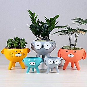 Happyyami 1pc Dino Flower Pot Cactus Planter Pot Animal Flower Pot Ceramic Earring Holder Animal Planter Pot Animal Ring Holder Ceramic Succulent Pots Bonsai Plant Vase Mini Flower Pot Stand