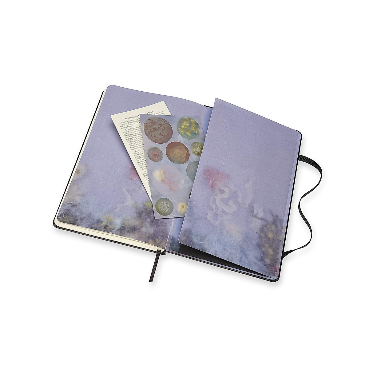 Moleskine Limited Edition Studio Collection Notebook, Hard Cover, Large (5" x 8.25"), Ruled/Lined, Sonia Alins, 240 Pages