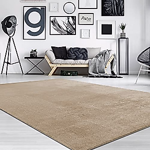 Paco Home Soft Washable Area Rug in Beige Cream Cozy Anti-Slip Solid Color, Size: 2'8" x 4'11"