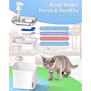 Petnimal Cat Water Fountain, 74oz/2.2L 304 Stainless Steel Cat Fountain Water Bowl with Water Level, Quiet Automatic Pet Water Fountain with Silicone Mat, Pet Fountain for Cats Dogs Multiple Pets