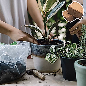 ZeeDix 8 Pcs Premium Coco Coir Compressed Coconut Coir 100% Organic Coco Coir Brick Coconut Coir Bricks with Low EC and pH Balance for Plants Gardening Herbs