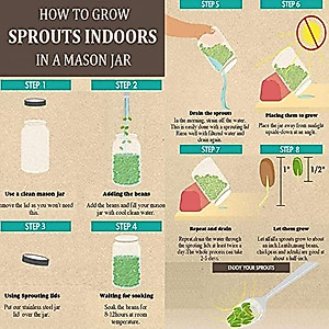 Alvinlite Sprouting Lids,Sprouting Kit Dishwasher Safe Without Rusting Stainless Steel Mesh Screen Jar Strainer 2pcs for Bean Sprout Growing Broccoli, Alfalfa, Mung Bean(86mm)