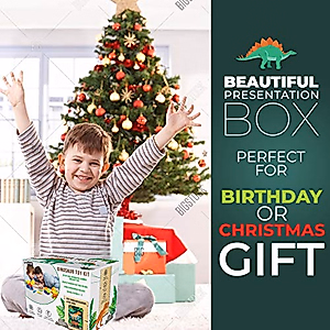 Dinosaur Building Toy Set for Kids - STEM Take Apart Construction Toys Include Build a Dino Construct & Play Kit, Storage Bag, & Coloring Book - Educational Toys, Birthday Party Toy Dinosaurs