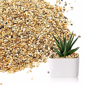 Coarse Sand Stone - Succulents and Cactus Bonsai DIY Projects Rocks, Decorative Gravel for Plants and Vases Fillers，Terrarium, Fairy Gardening, Natural Stone Top Dressing for Potted Plants.1.6lb