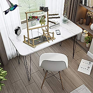 kathson Bird Playground Parrot Perch Stand Toys, Birds Wood Play Gym Activity Center Exercise Playpen Ladder Swing with Feeder Cups Chewing Toy(Include a Tray)