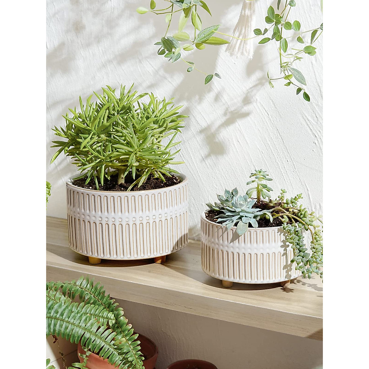 LE TAUCI Succulent Pots, 6.5+8 Inch Ceramic Indoor Plant Pot with Drainage Hole, Modern Round Decorative Flower Pot, Set of 2, Reactive Glaze White