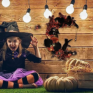 Pacoco Halloween Wreaths Decor with Lights for Front Door, 13.77" Halloween Moon Wreath with Black Cat Wood Wreath Halloween Wreath Horror Decorations for Home Party Window Wall Indoor Outdoor (03)