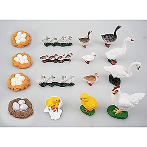 Toymany 16PCS Life Cycle of Goose White Swan Chicken Duck Farm Animals Figures, Plastic Safariology Growth Cycle Eggs Figurines Toy Kit School Project Cake Topper for Kids Toddlers