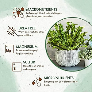 Indoor Plant Food - All-Purpose Fertilizer (Liquid Alternative) - Best for Houseplants Indoors + Common Home Outdoor Plants in Pots (5 oz)