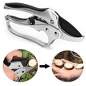 GYDXJGJ Orchard Pruning Pruner Cut Shrub Garden Tree Tools Flower Scissor Tool Garden Tools Ratchet Plant Trim Horticulture Hand Shear
