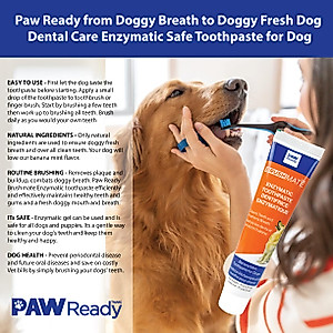 Paw Ready from Doggy Breath to Doggy Fresh Dog Dental Care Enzymatic Toothpaste for Dogs | Cleans Teeth and Freshens Breath | Safe for Puppies, Clinical Care, Banana Mint Flavor - 1 Pack 70g (2.5 oz)