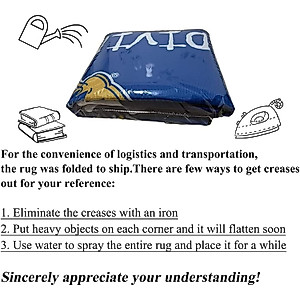 Fouiunler Zebra Area Rug, 2x3ft, Black and White Striped Rug, Wild Animal Print Non-Slip Washable Rugs, Modern Flannel Rugs for Living Room， Indoor Bedroom Dining Room Maximalist Rug