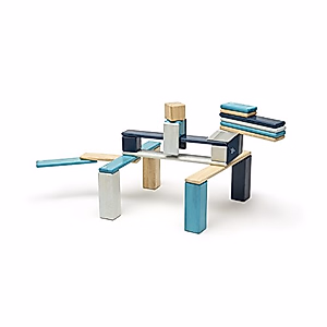 24 Piece Tegu Magnetic Wooden Block Set, Blues, 1-99 years old