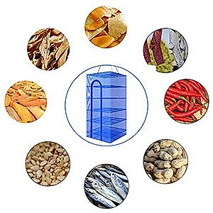 RnneLeen Hanging Drying Net Foldable Drying Rack Net Dryer 19.7"x19.7"x37.4" 6 Layer Folding Fish Mesh Collapsible Dry Net with Zippers for Drying Seeds Fish Vegetables Fruit Herb Food