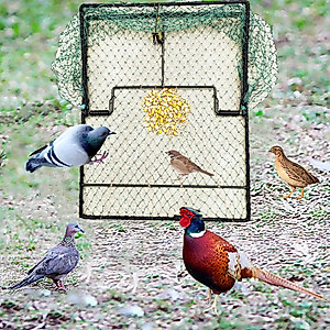 DSQSTMR Pigeon Bird Trap 2 Pack Trapping Hunting Quail Cage Sparrow Spring Starling Catching Net Traps for Trapping