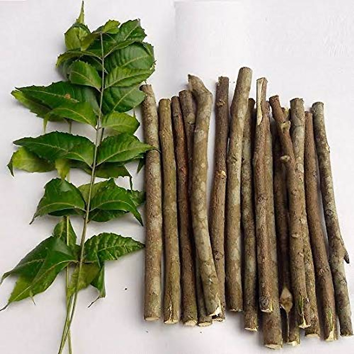 PasumAI Organic Ayurvedic Natural Organic Neem Datun Toothbrush Neem Treechew Sticks For Brushing -20 Pieces 6 Inch