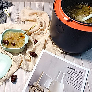 Mokero Low Carbohydrate Rice Cooker,2L Uncooked Sugar Cut Rice Cooker Multifunctional Digitally Programmable Small Rice Cooker 24 Hours Preset Keep Warm Healthy Non-Stick Liner Rice Soup Separation 2 Cups Suit for 1-2 People