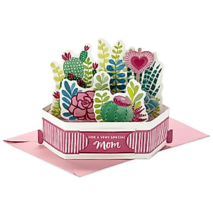 Hallmark Pop Up Birthday Card for Mom (Displayable Succulents and Flowers)