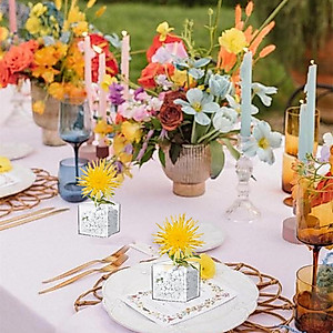 Acrylic Box with Lid Clear Acrylic Box Plastic Square Cube Christmas Display Boxes 24 Packs Transparent Candy Jewelry Organizing Storage Box Wedding Party Favor Decorations Box