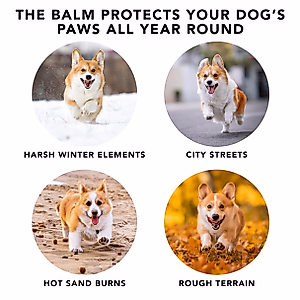 Pride and Groom The Balm – Creamy, Non-Greasy Balm for Dogs & Cats Made from Clean Ingredients, Shea Butter, Essential Oils & Vitamins to Moisturize & Heal Paws, Noses, Dry Patches, & More – 2.5 oz