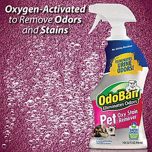 OdoBan Pet Solutions Oxy Stain Remover, Pet Stain Eliminator, 32 Ounce Spray